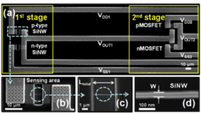 #7: Hybrid Nanowire/CMOS Biosensor | Semiconductor Digest