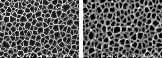 3) Porous Silicon for Integrated On-Chip Energy Storage | Semiconductor ...
