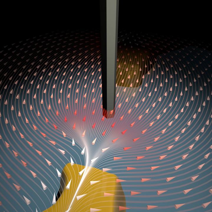 Nanowires as sensors in new type of atomic force microscope ...