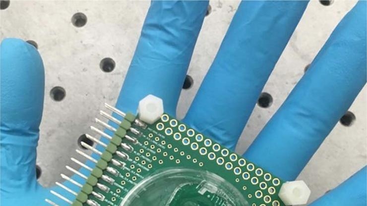 New chip measures multiple cellular responses to speed drug discovery ...